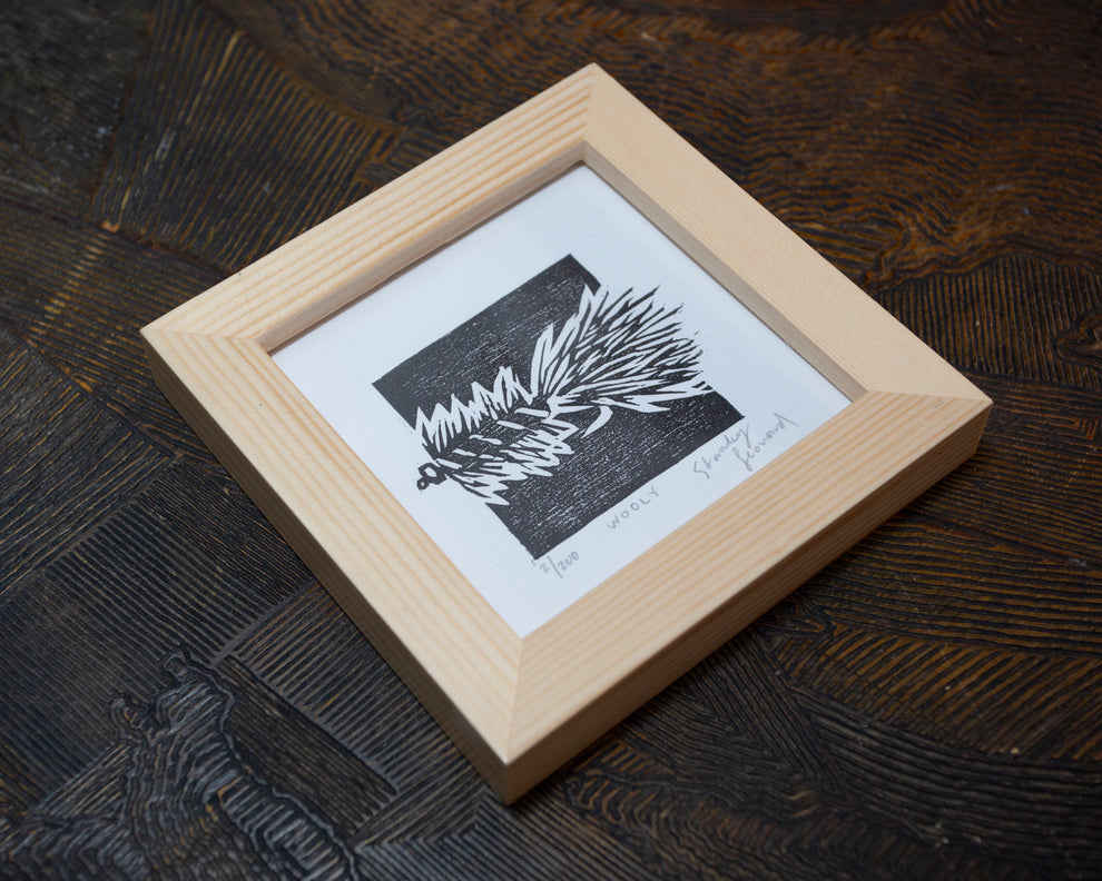 Wooly – Stanley Leonard Studio